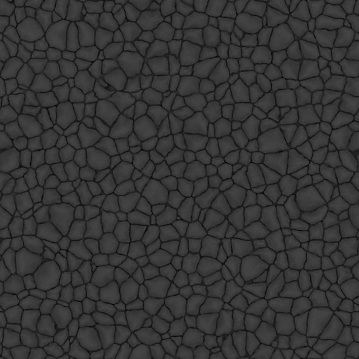 Tortoise Skin PBR Texture