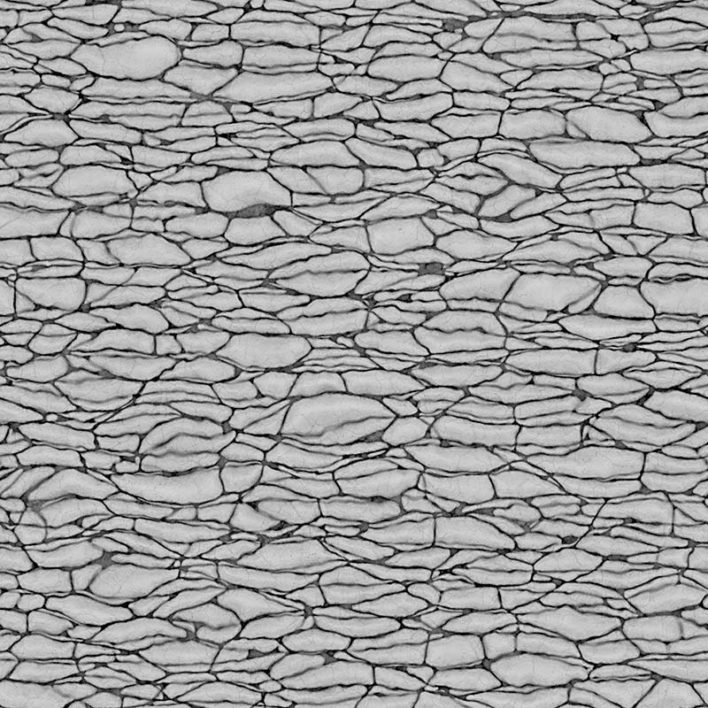 Tortoise Skin PBR Texture