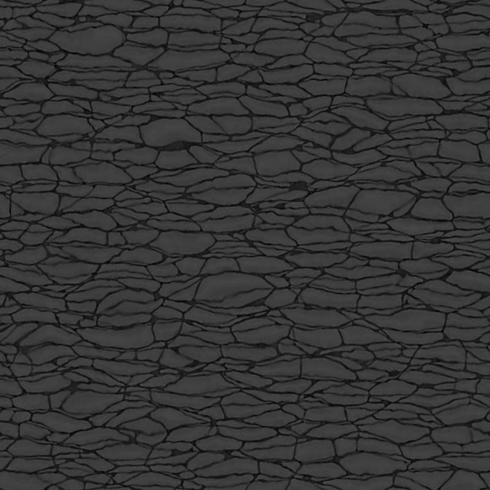 Tortoise Skin PBR Texture