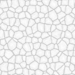 Turtle Skin PBR Texture