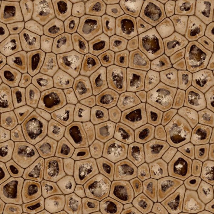 Turtle Skin PBR Texture