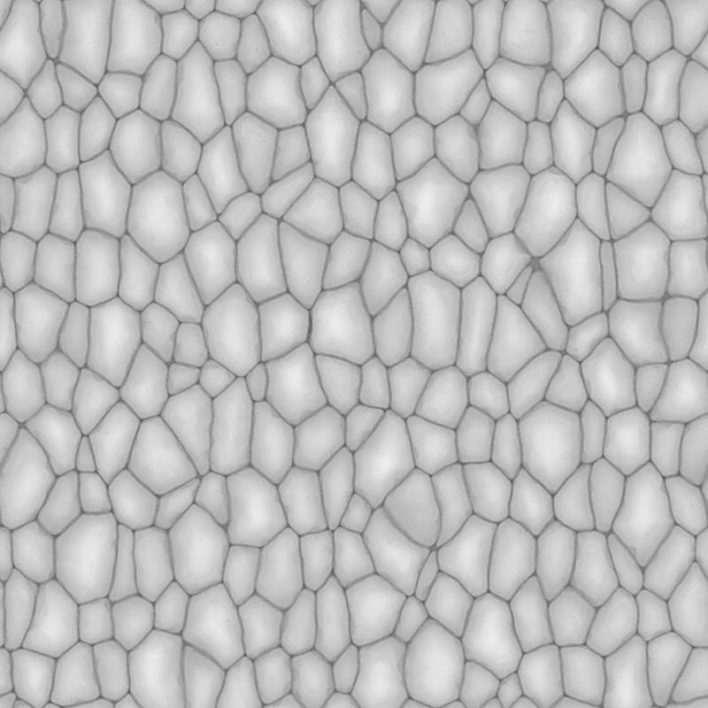 Turtle Skin PBR Texture