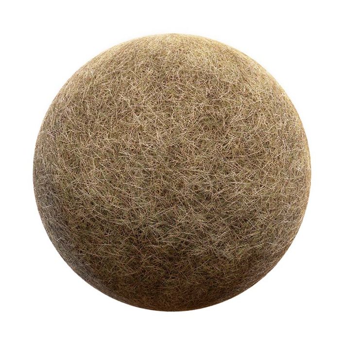 Dry Grass Pbr Texture