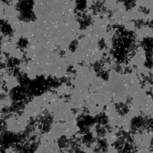 Forest Mud PBR Texture