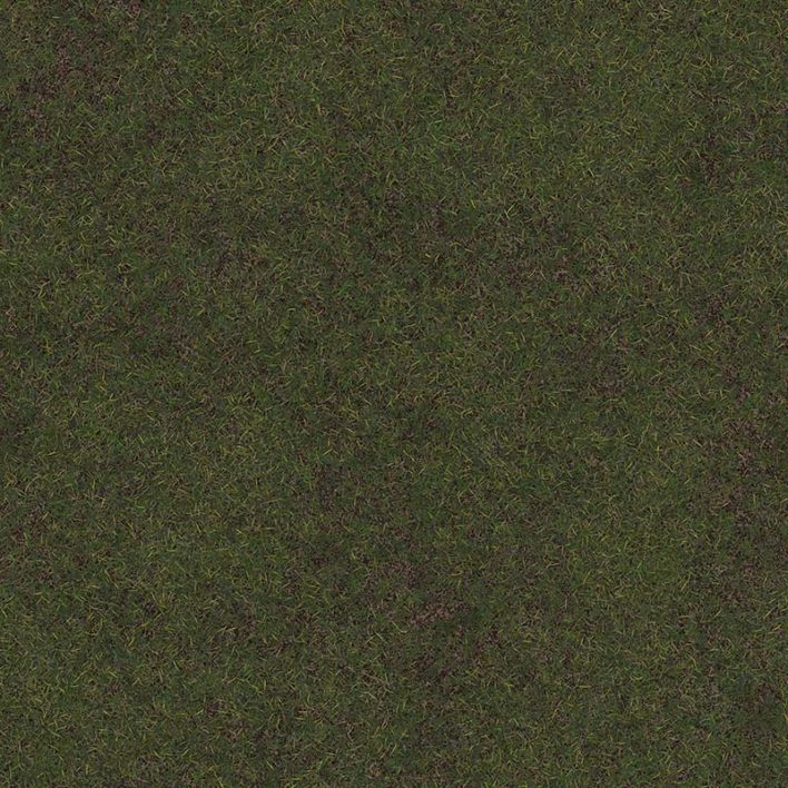 Grass PBR Texture