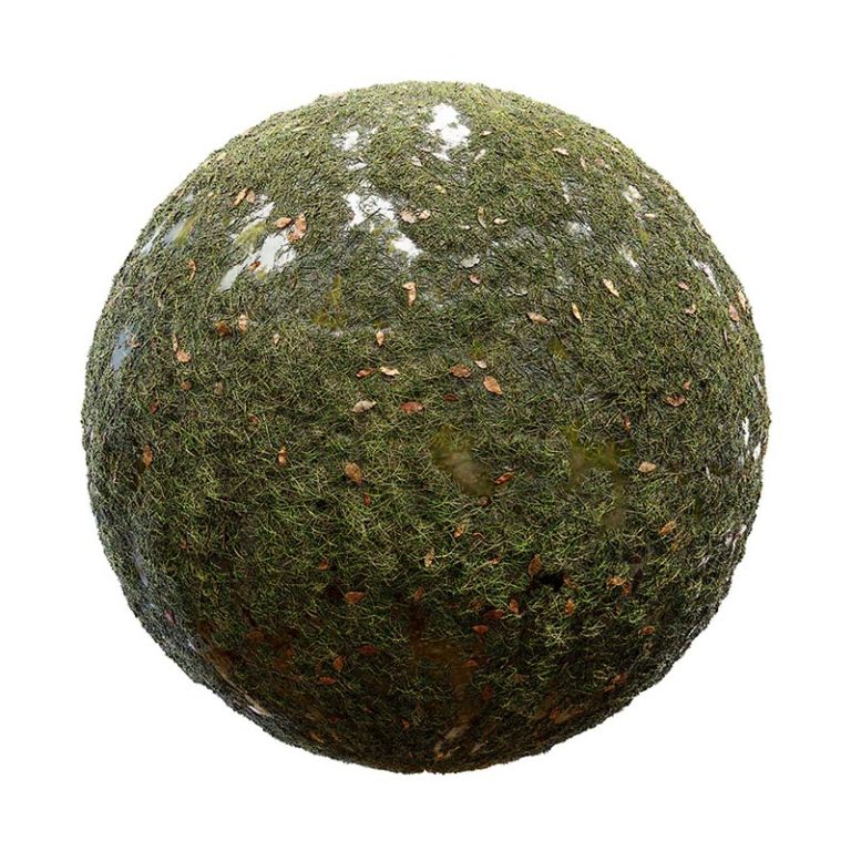 Grass with Dry Leaves and Water PBR Texture