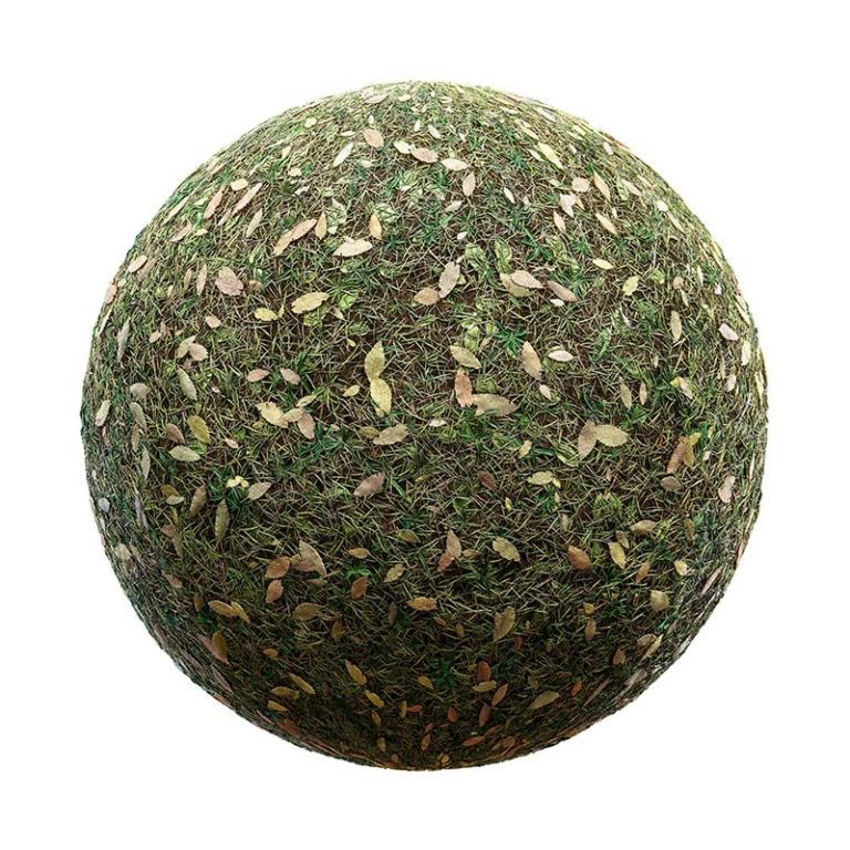 Grass with Plants and Dry Leaves PBR Texture