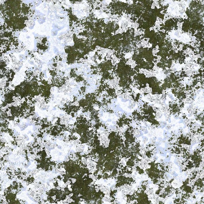 Grass with Snow PBR Texture