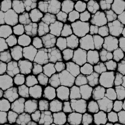 Grass with Water PBR Texture