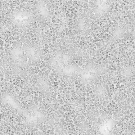 Mud with Water PBR Texture