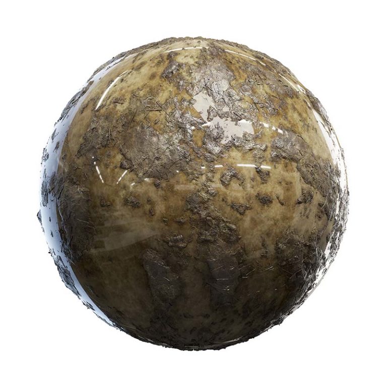 Mud with Water PBR Texture