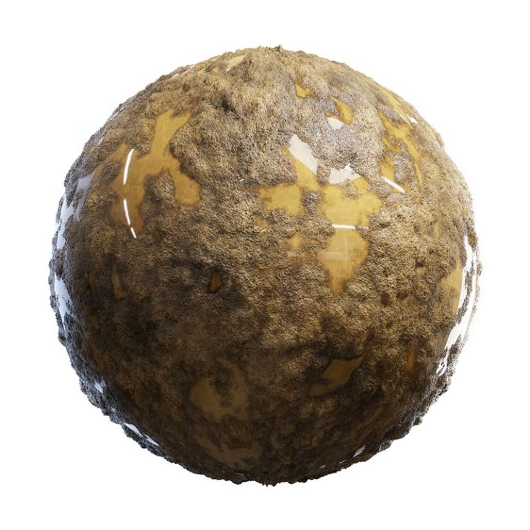 Mud with Water PBR Texture