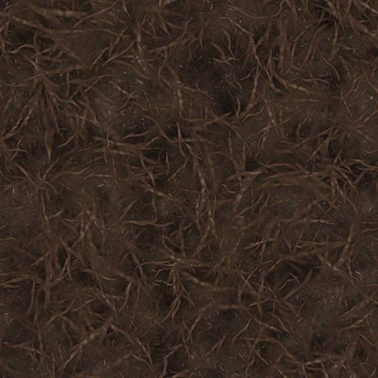 Tree Roots PBR Texture