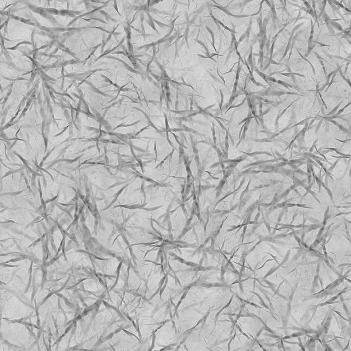 Tree Roots PBR Texture