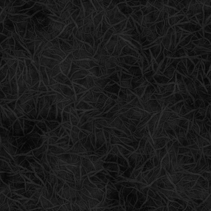 Tree Roots PBR Texture