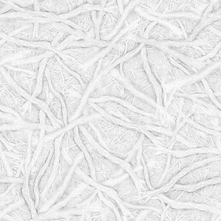 Tree Roots PBR Texture