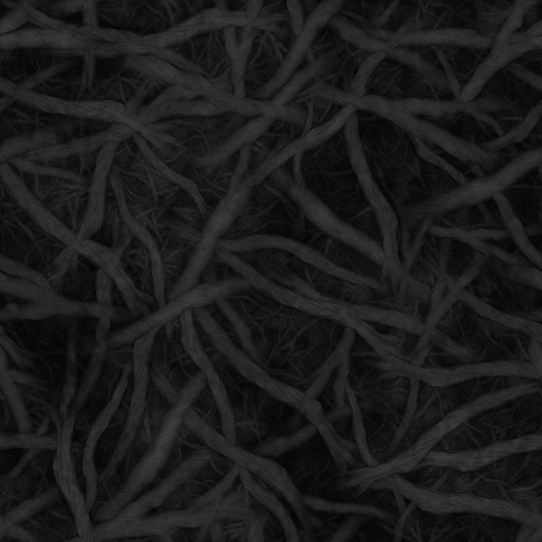 Tree Roots PBR Texture