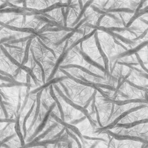 Tree Roots PBR Texture