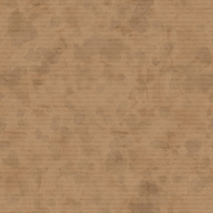 Brown Cardboard Top Layer PBR Texture
