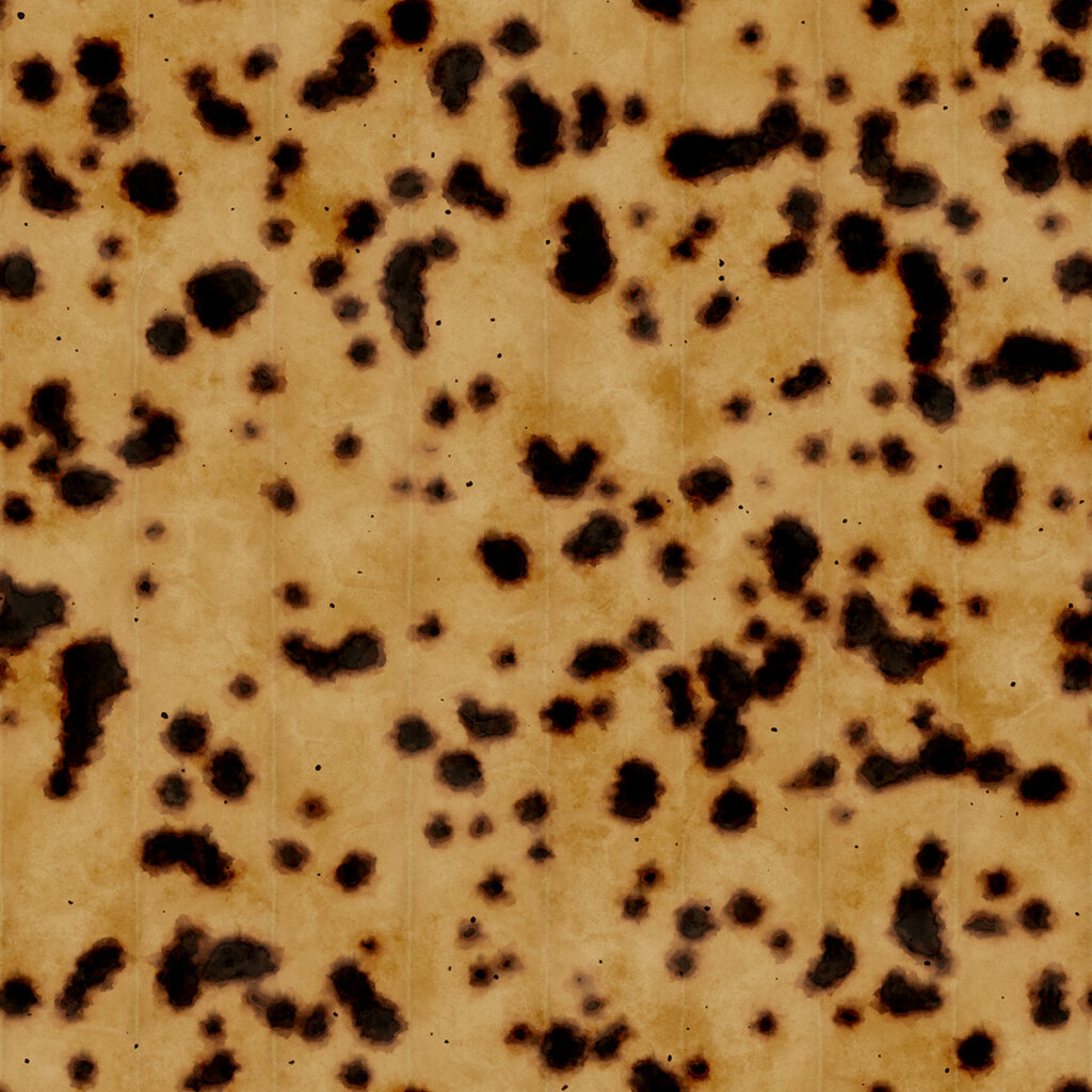 Burnt Old Paper PBR Texture