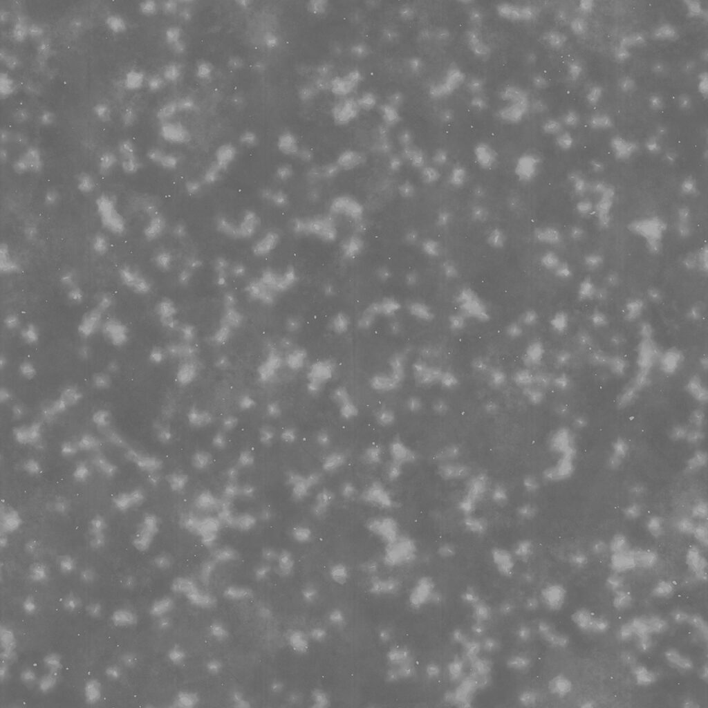 Burnt Old Paper PBR Texture