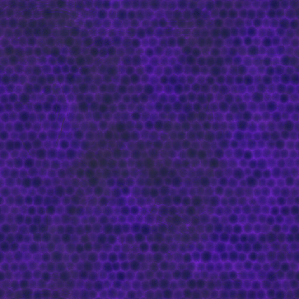 Purple Stained Glass PBR Texture