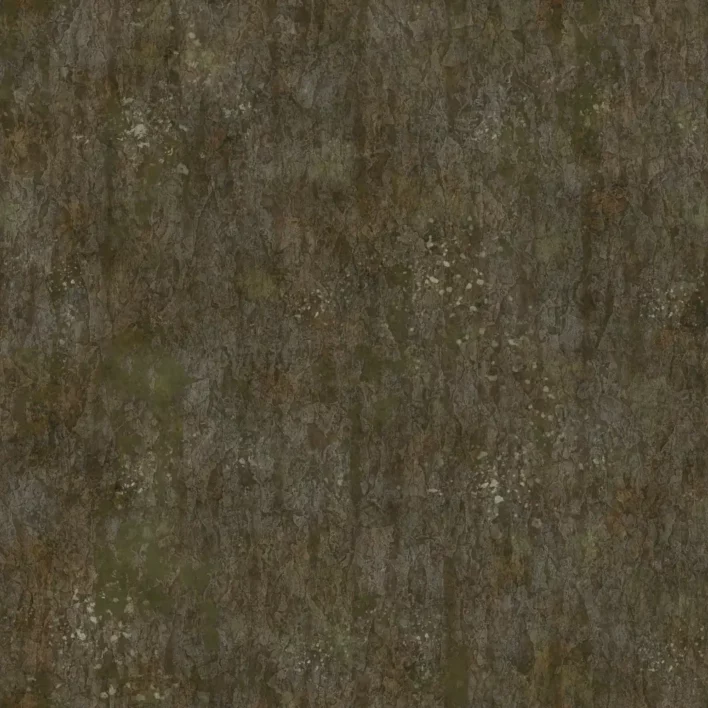 Korean Spruce Bark With Moss