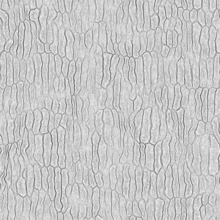 Korean Spruce Bark With Moss