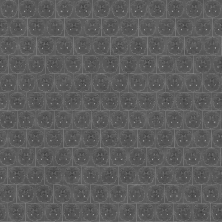 Stone Mask Wall Tiles