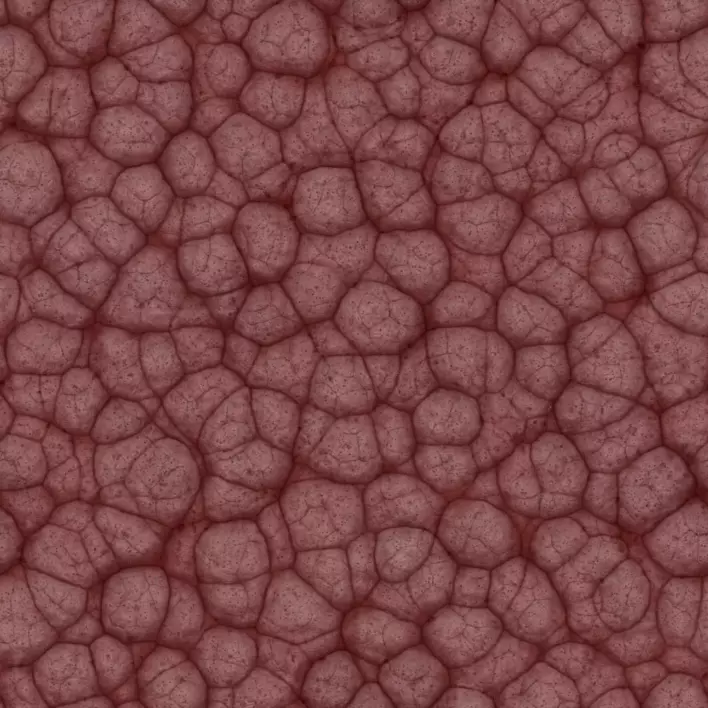 Brain Guts PBR Texture