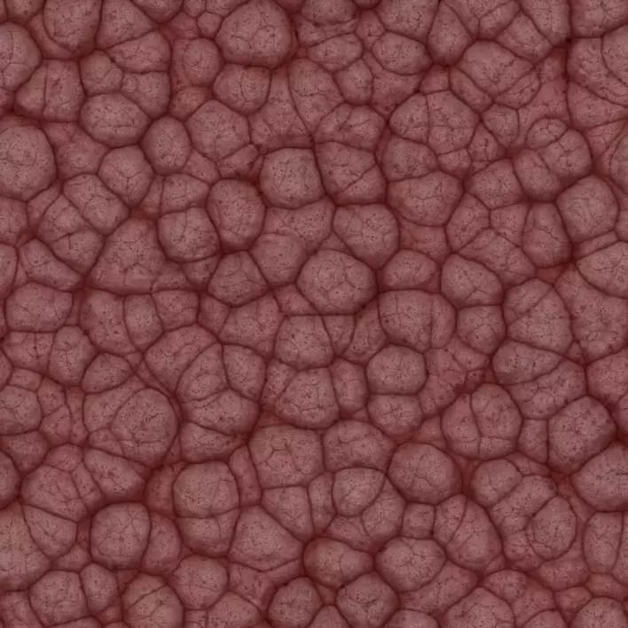 Brain Guts PBR Texture