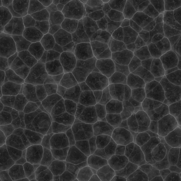 Brain Guts PBR Texture