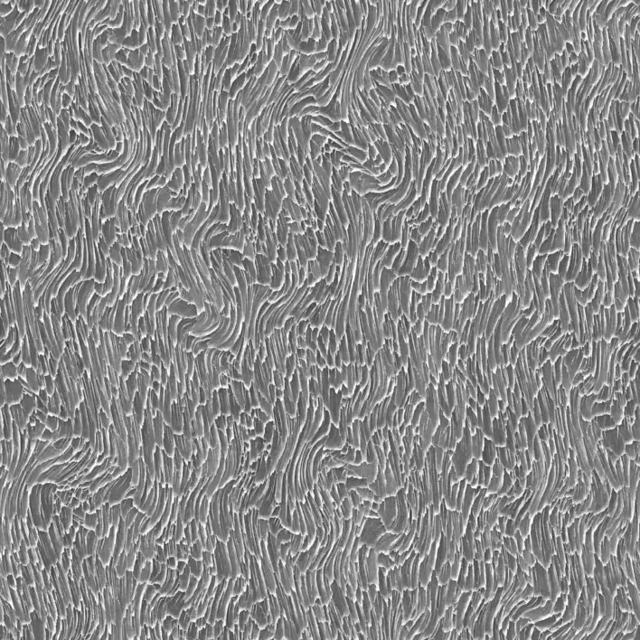 Fantasy Tree Bark PBR Texture