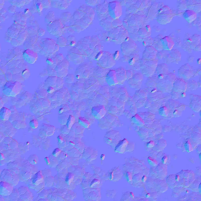 Swamp Ground with Rocks PBR Texture