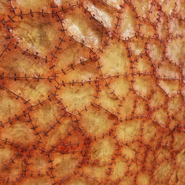 Stampled Zombie Skin Pbr Texture